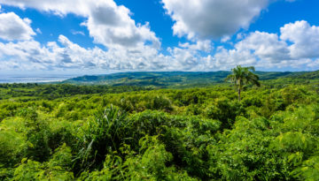 Barbados Tipps - So wird euer Barbados Urlaub unvergesslich