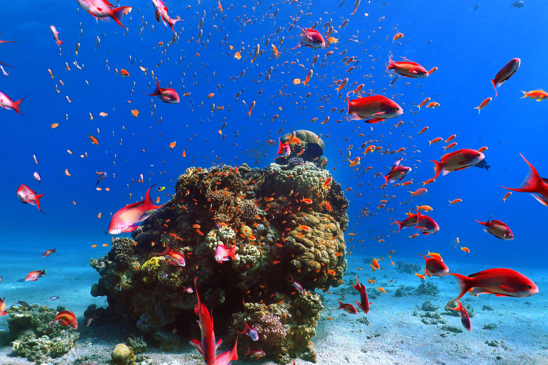 Wetter in Hurghada - Die beste Reisezeit für einen Urlaub am Roten Meer