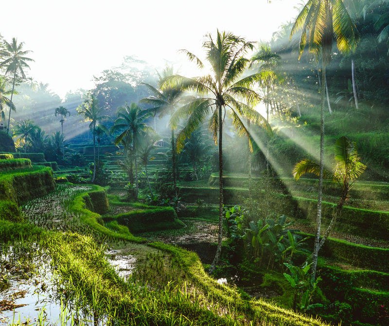 Urlaub auf Bali - Traumziel, Reiseinspiration, Tipps und Reiseführer