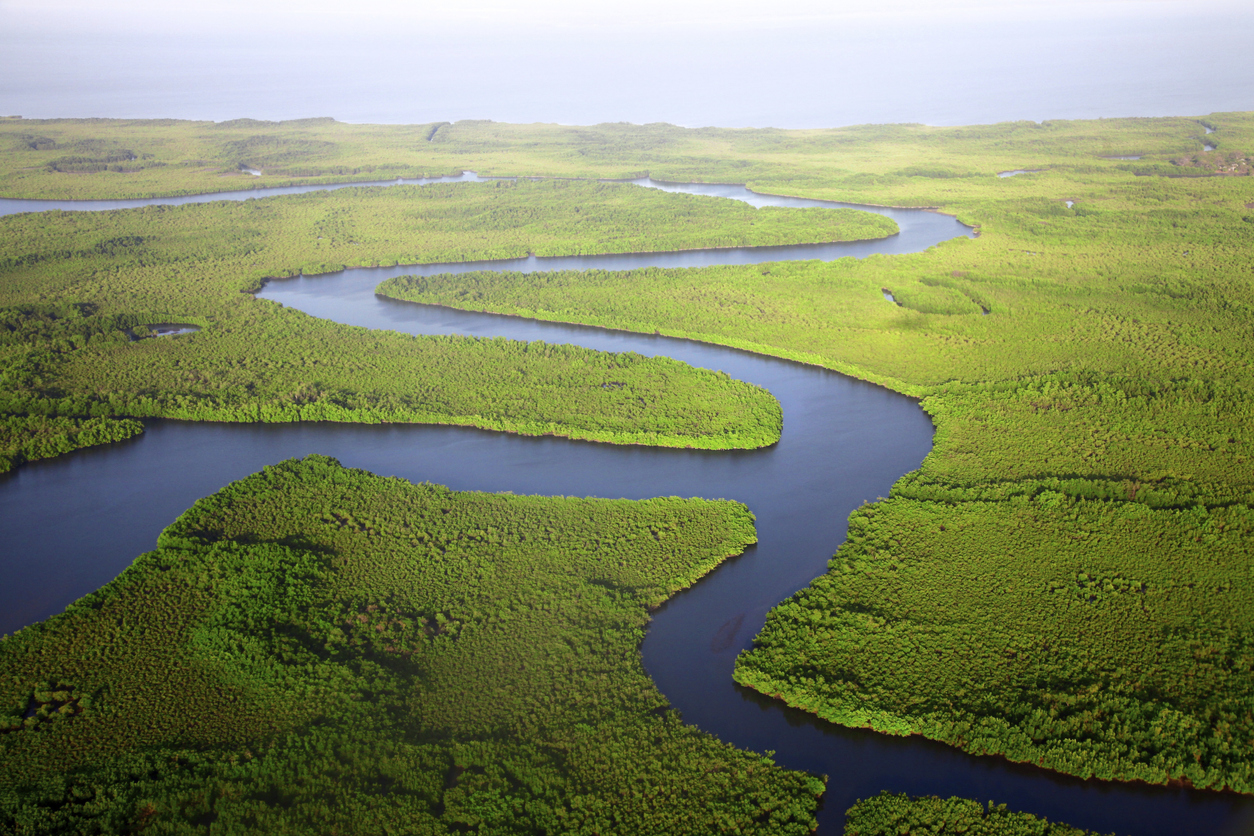 Reiseziele in Gambia - Ein Abenteuer in unberührter Natur