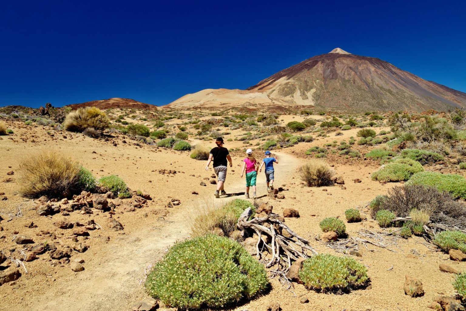 Teneriffa Wandern - 9 top Wanderrouten für euren Aktivurlaub