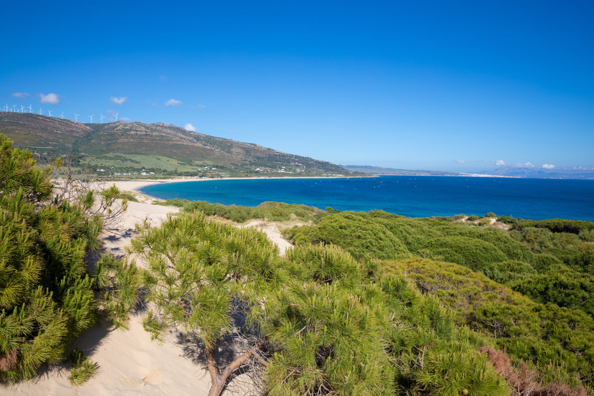 Costa de la Luz Tipps: 10 Infos zu Anreise, Orten und Stränden