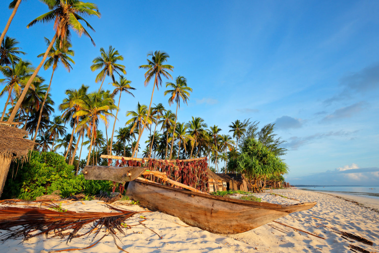 Sansibar Tipps - Das exotische Urlaubsziel Tansanias