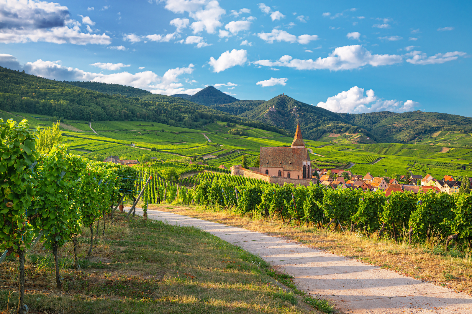 Elsass Tipps: 10 Infos zu Highlights, Orten oder Sehenswertem