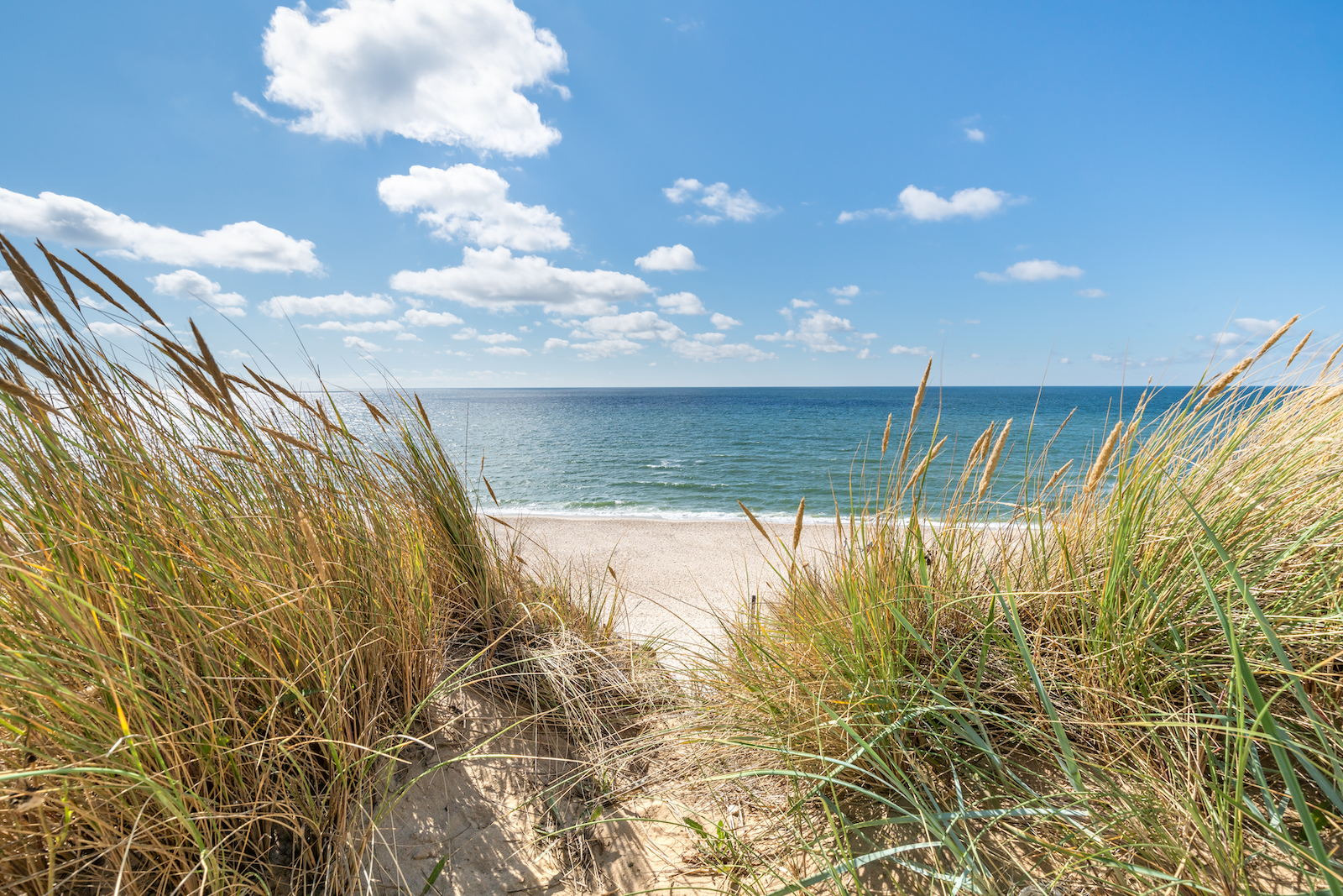 Nordsee Tipps: 10 Infos zu Urlaubsorten, Aktivitäten und Stränden