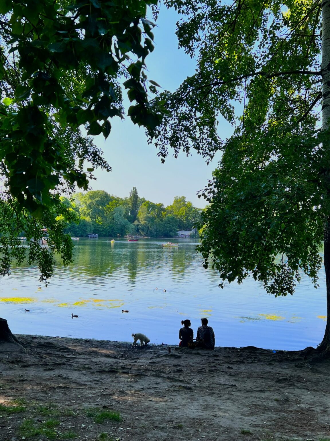 Die schönsten Seen in Berlin und Brandenburg - reiseuhu.de